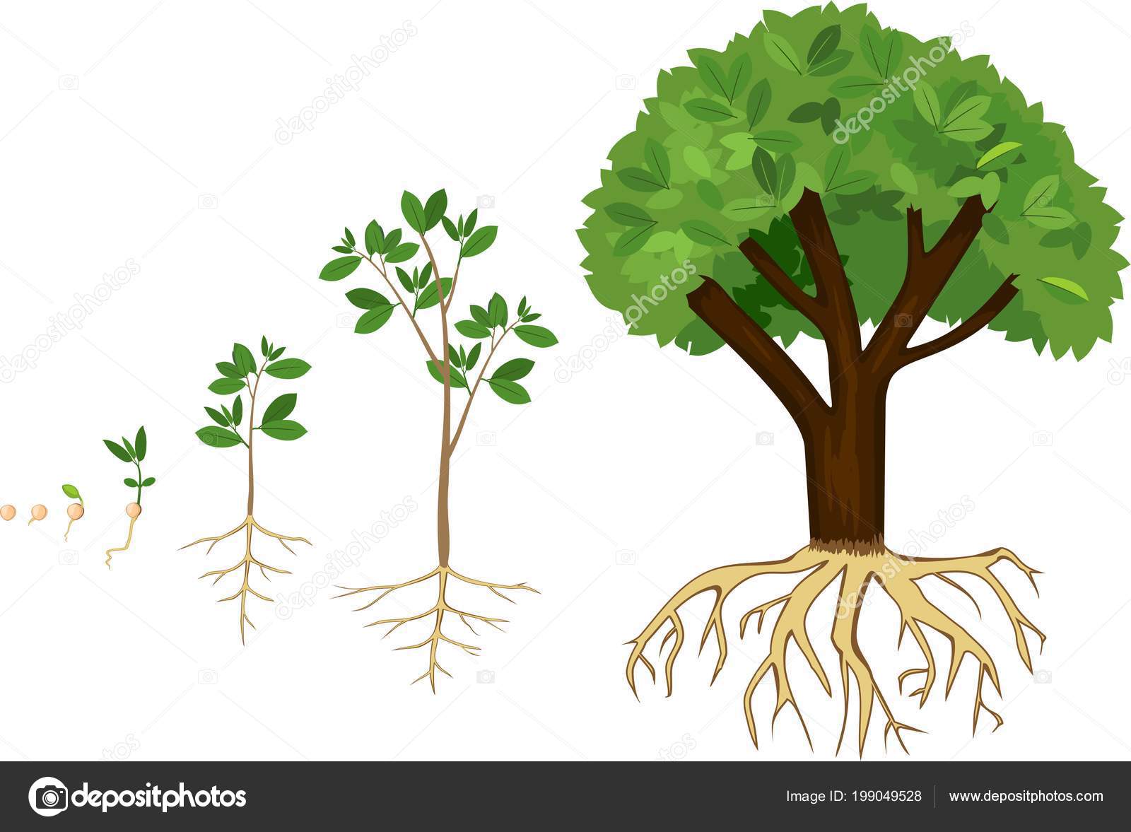 Understanding Satan’s Devices Part 3 | Destiny Christian Center