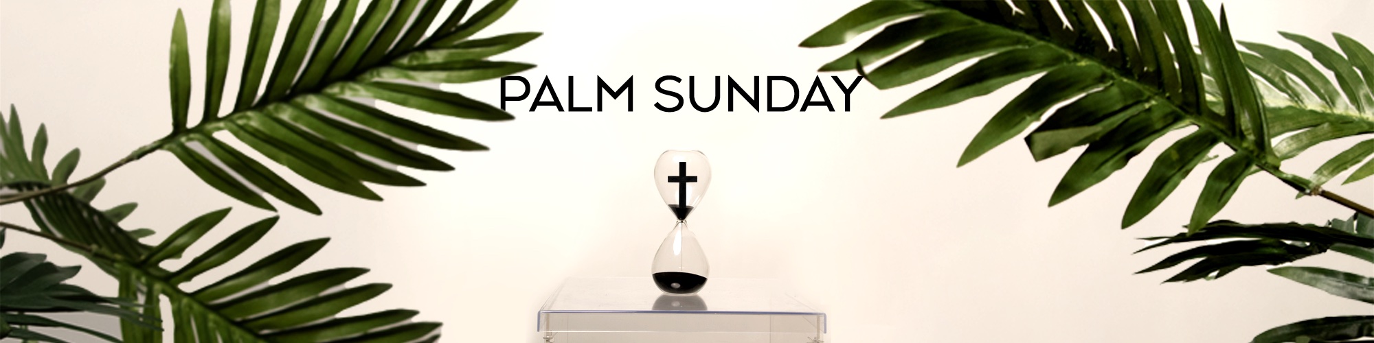 Palm Sunday | We Are Calvary