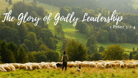 The Glory of Godly Leadership: 1 Peter 5:1-4