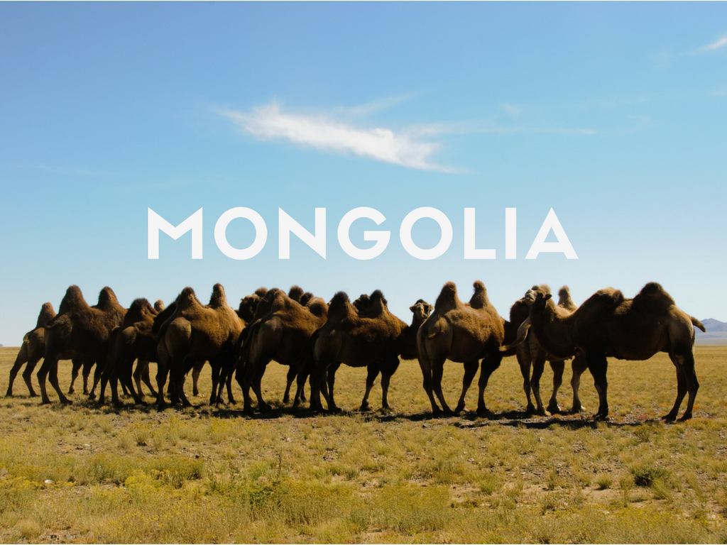 Mongolia | Mosaic North