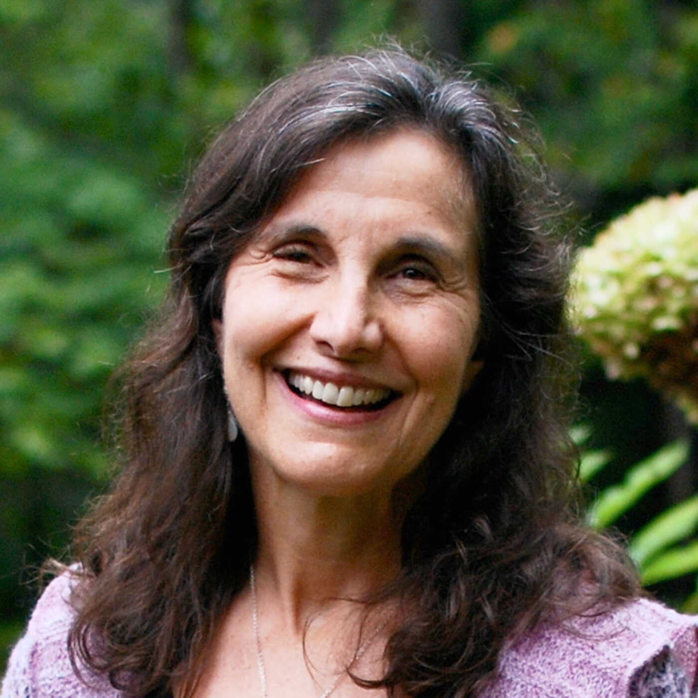 Forging Faith | Mountain View Community Church