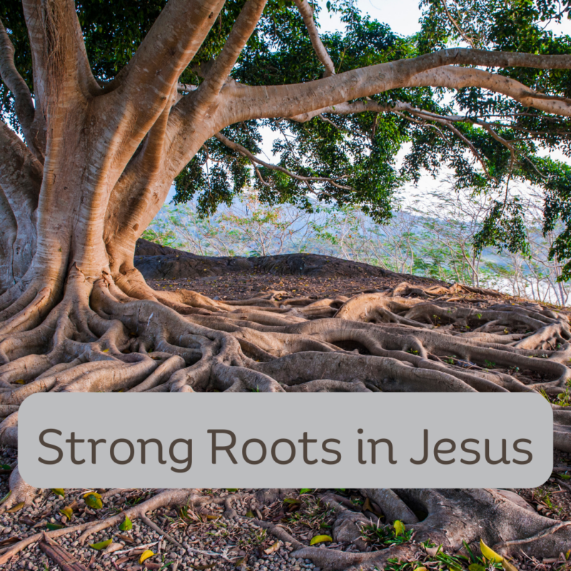 GROUPS | First Church of God