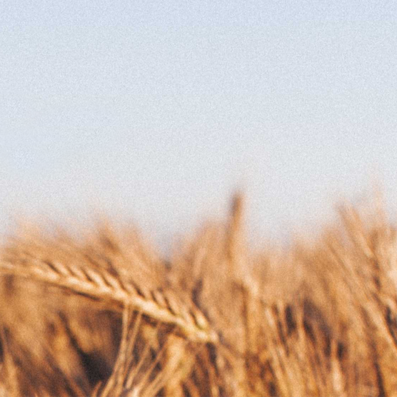 First Fruits | Bridgeway Community Church