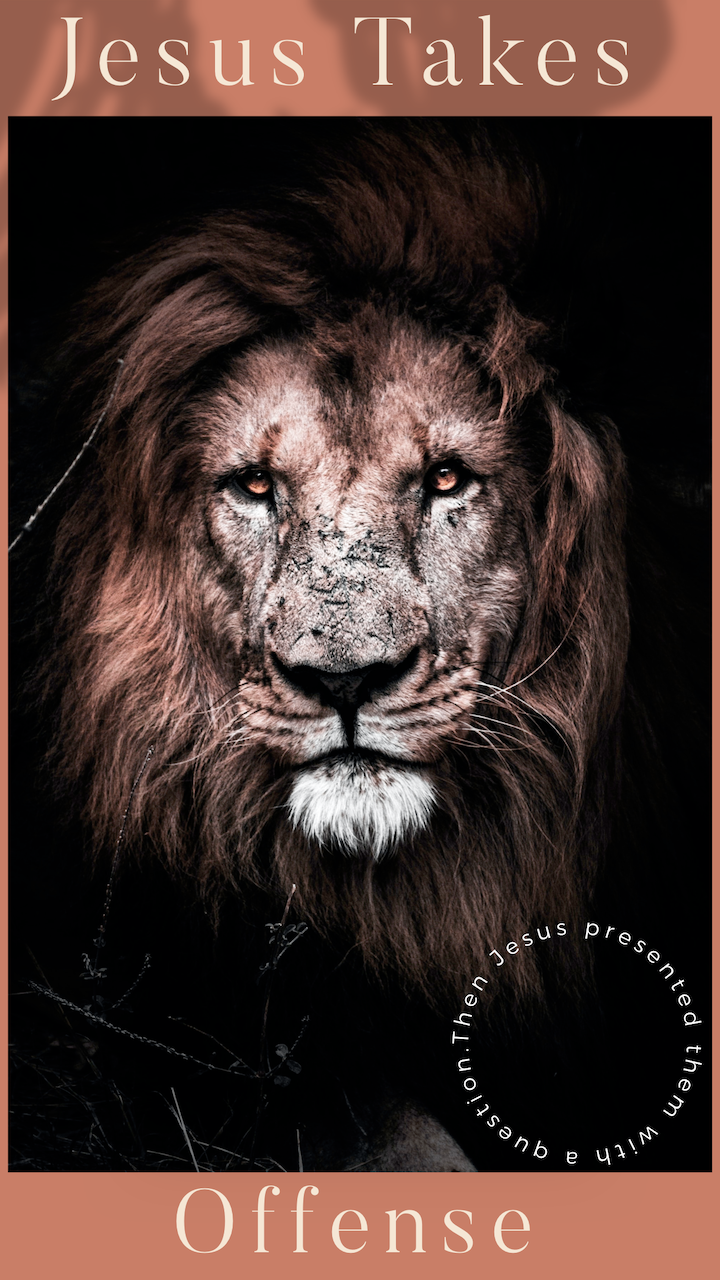 Jesus Takes Offense (Lk. 20:39-47) | Neighborhood Bible Church