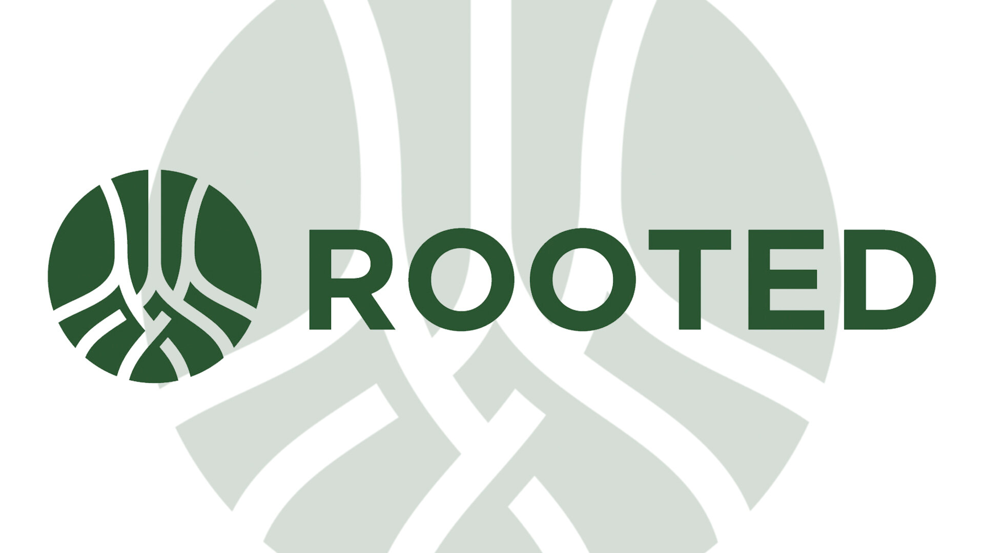 Rooted | NewLife Church