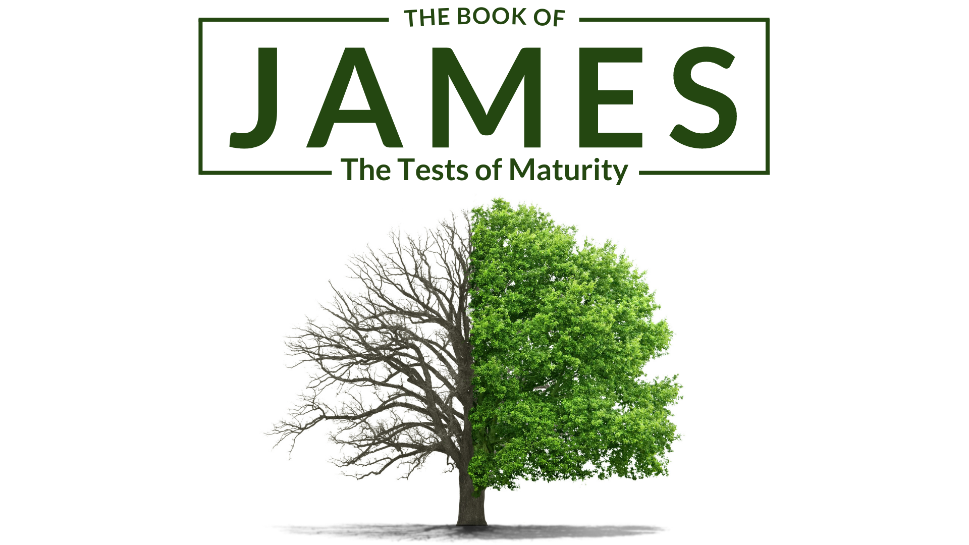 James Sermon Series Introduction The Tests Of Maturity Arrow Heights