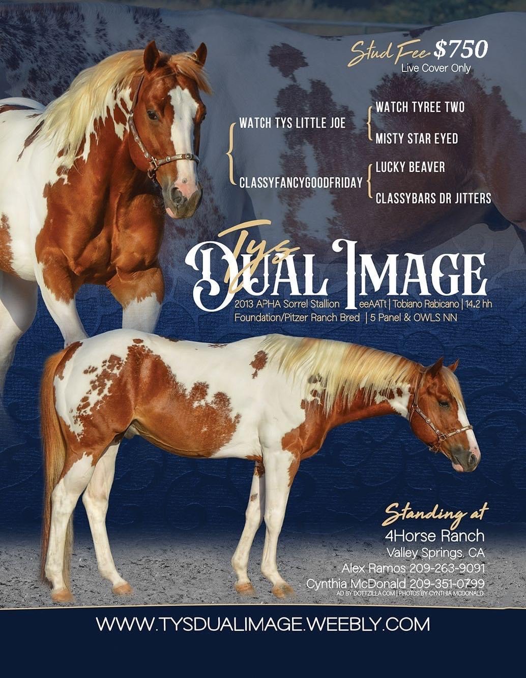 Missions | Good Samaritan Community Covenant Church