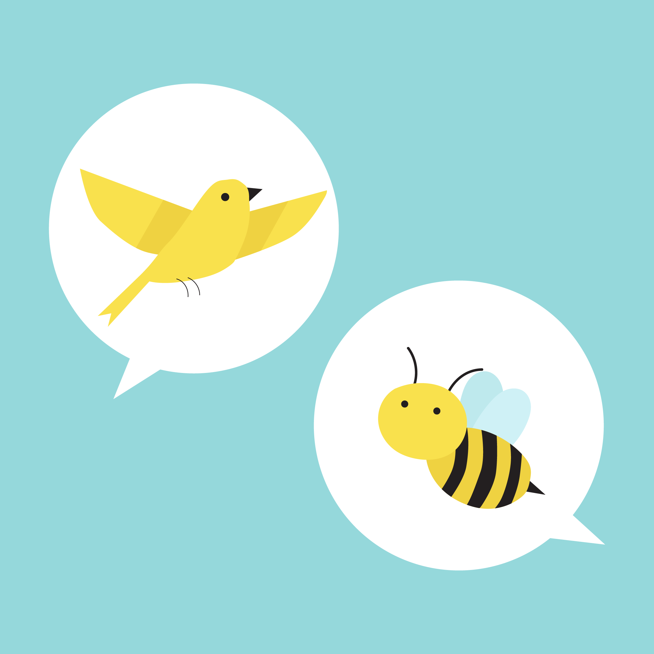 The Birds, The Bees and the Bible? | Faith Baptist Church
