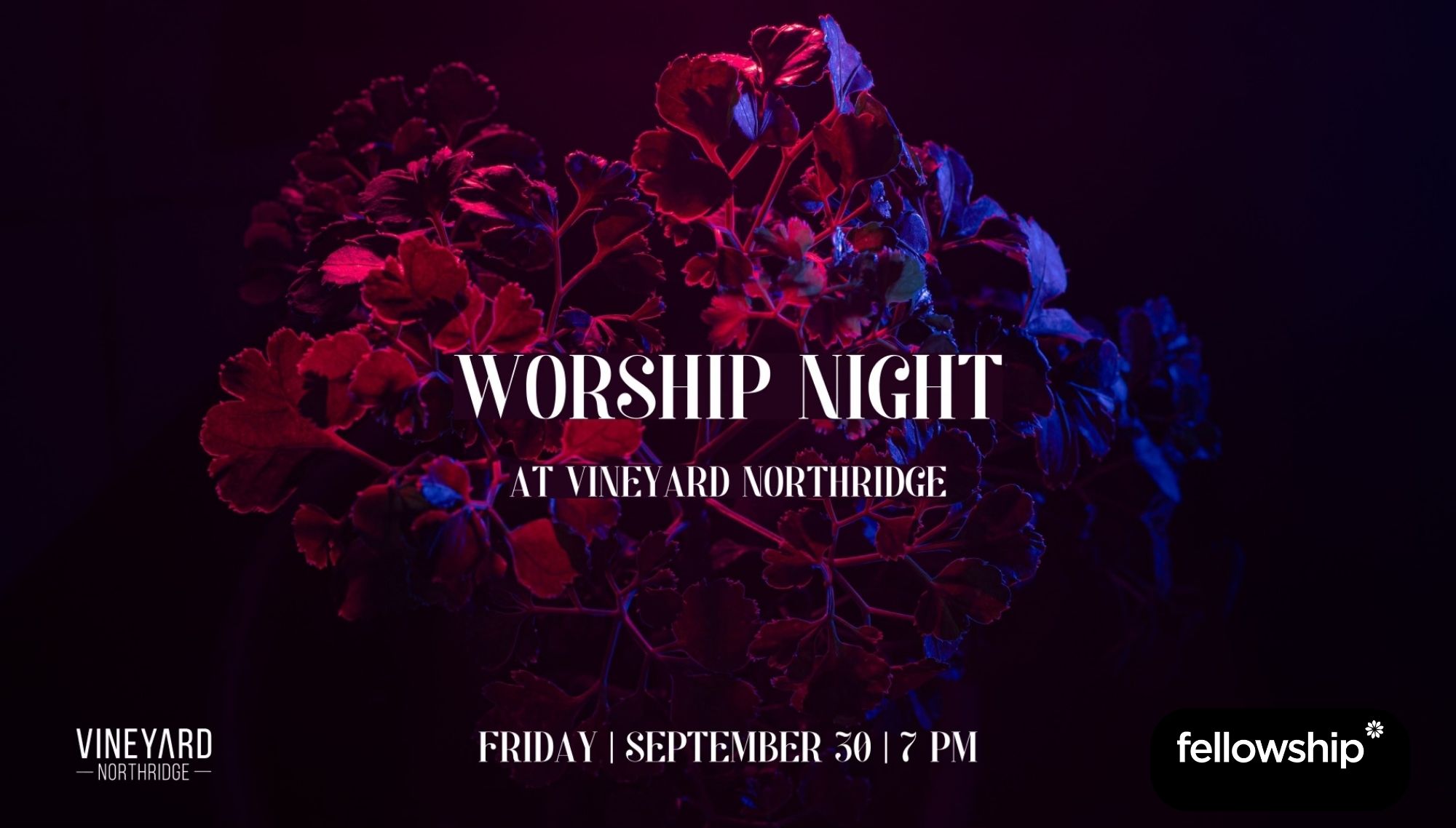 Worship Night | Fellowship