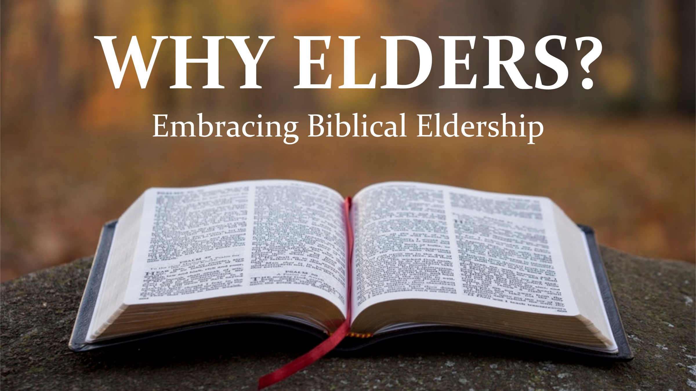 Why Elders?: Elders Hold The Word High – Brandon Turk | First Baptist ...