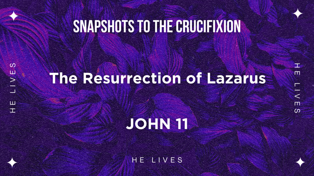 SERIES: SNAPSHOTS TO THE CRUCIFIXION – The Resurrection of Lazarus ...