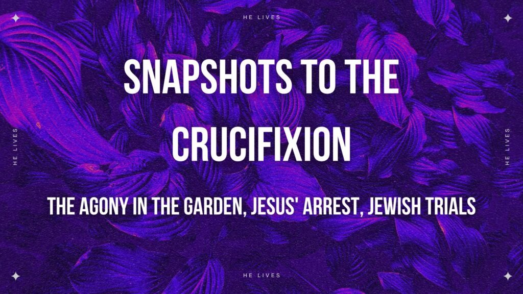 SERIES: SNAPSHOTS TO THE CRUCIFIXION – THE AGONY IN THE GARDEN, JESUS ...