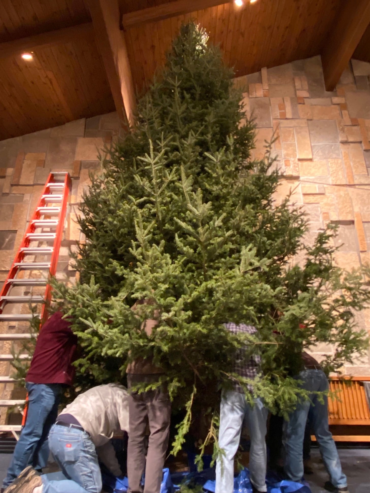 Christmas Tree Setup & Decorating | Our Saviors Lutheran Church West Bend