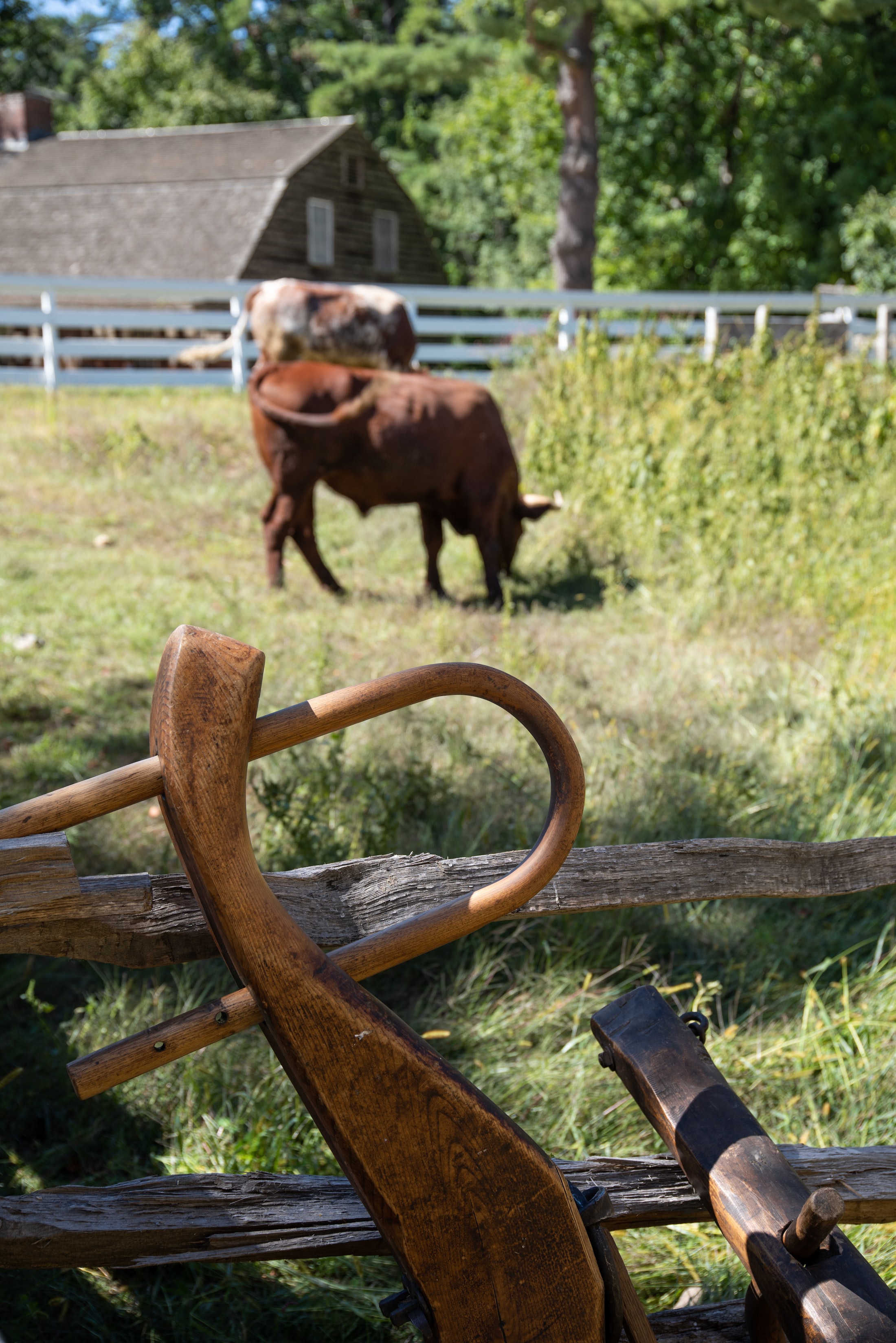 Bearing Our Yoke | Corinth Baptist Church