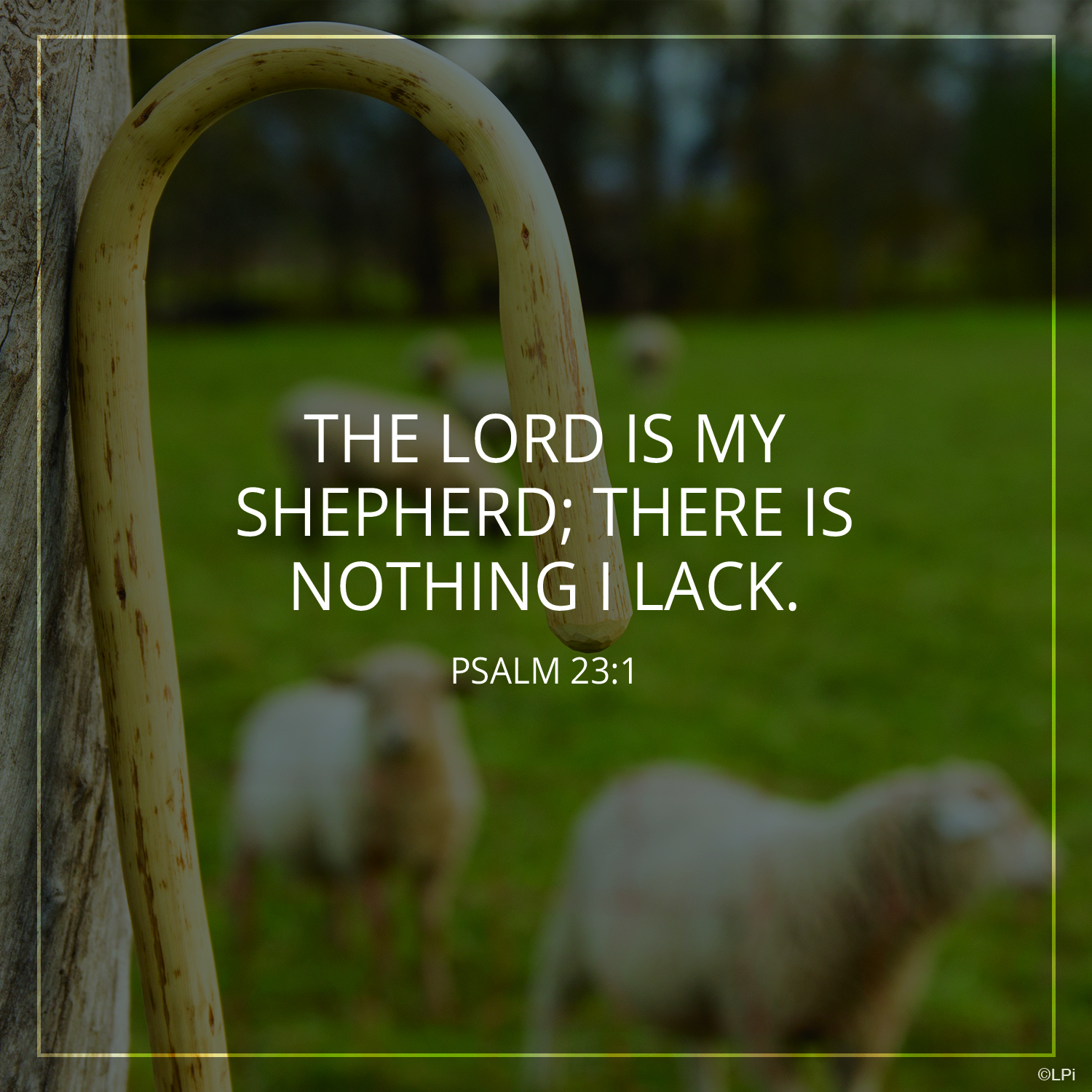 God Is my Shepherd, There Is Nothing I Shall Want