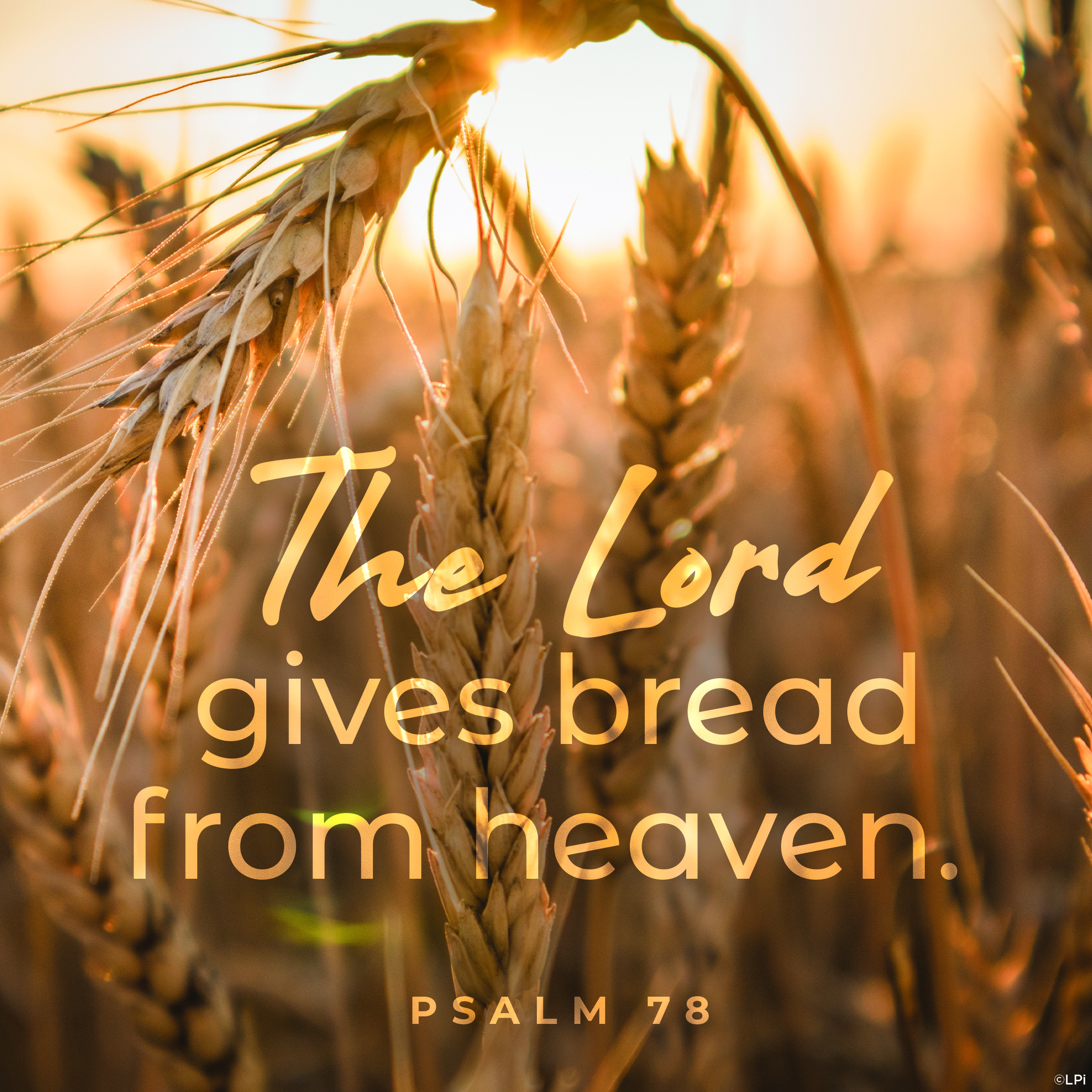 The Almighty Gave Them Bread from Heaven