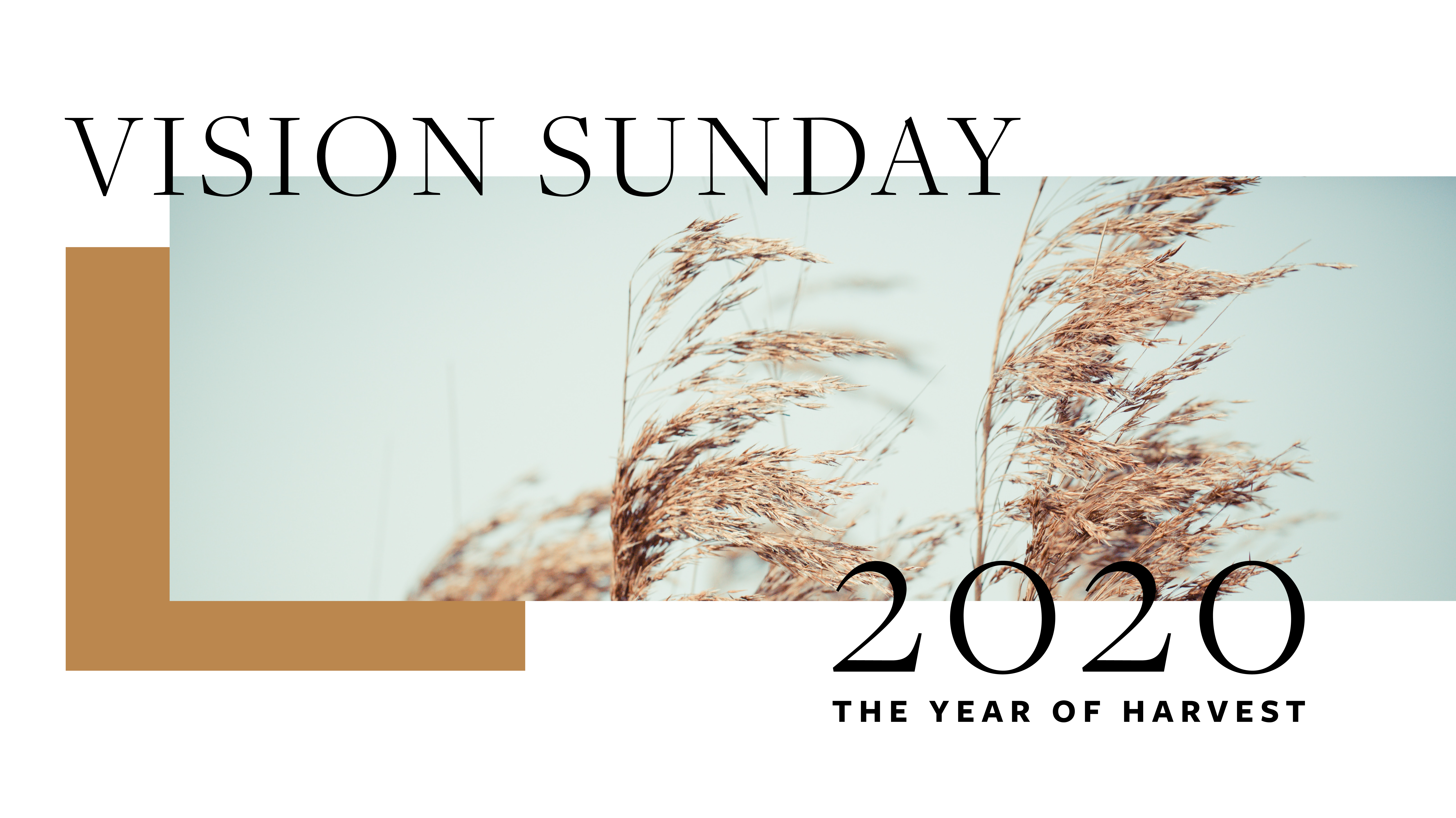 Vision Sunday – Go by Paul & Andi Andrew and Dawn Sadler | Liberty Church