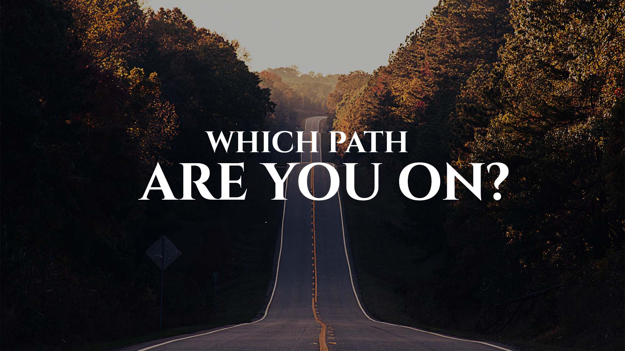 Which Path are You on?