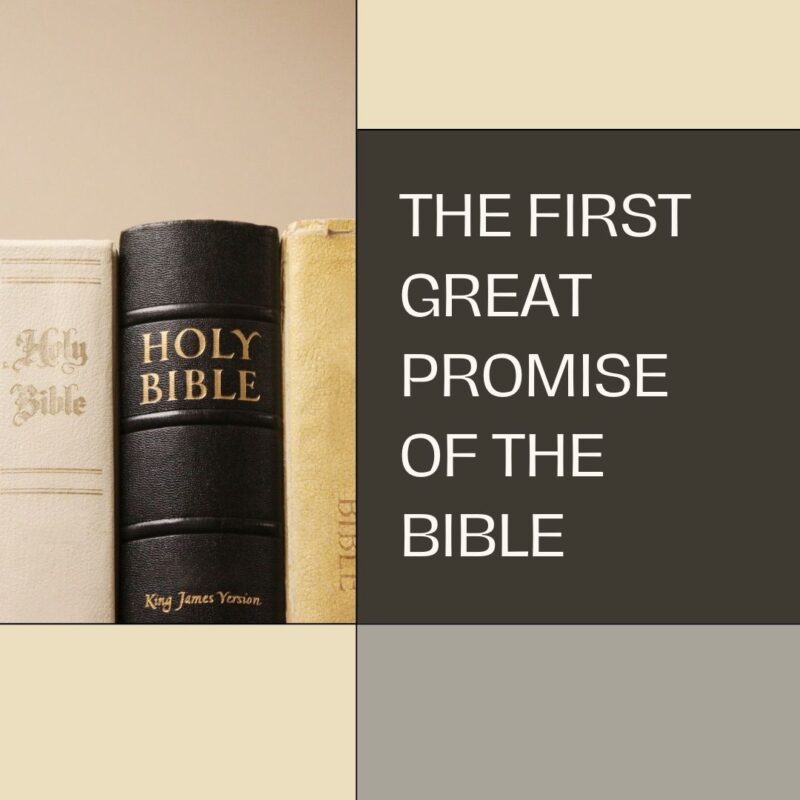 The First Great Promise of the Bible | City Centre Church - Mississauga
