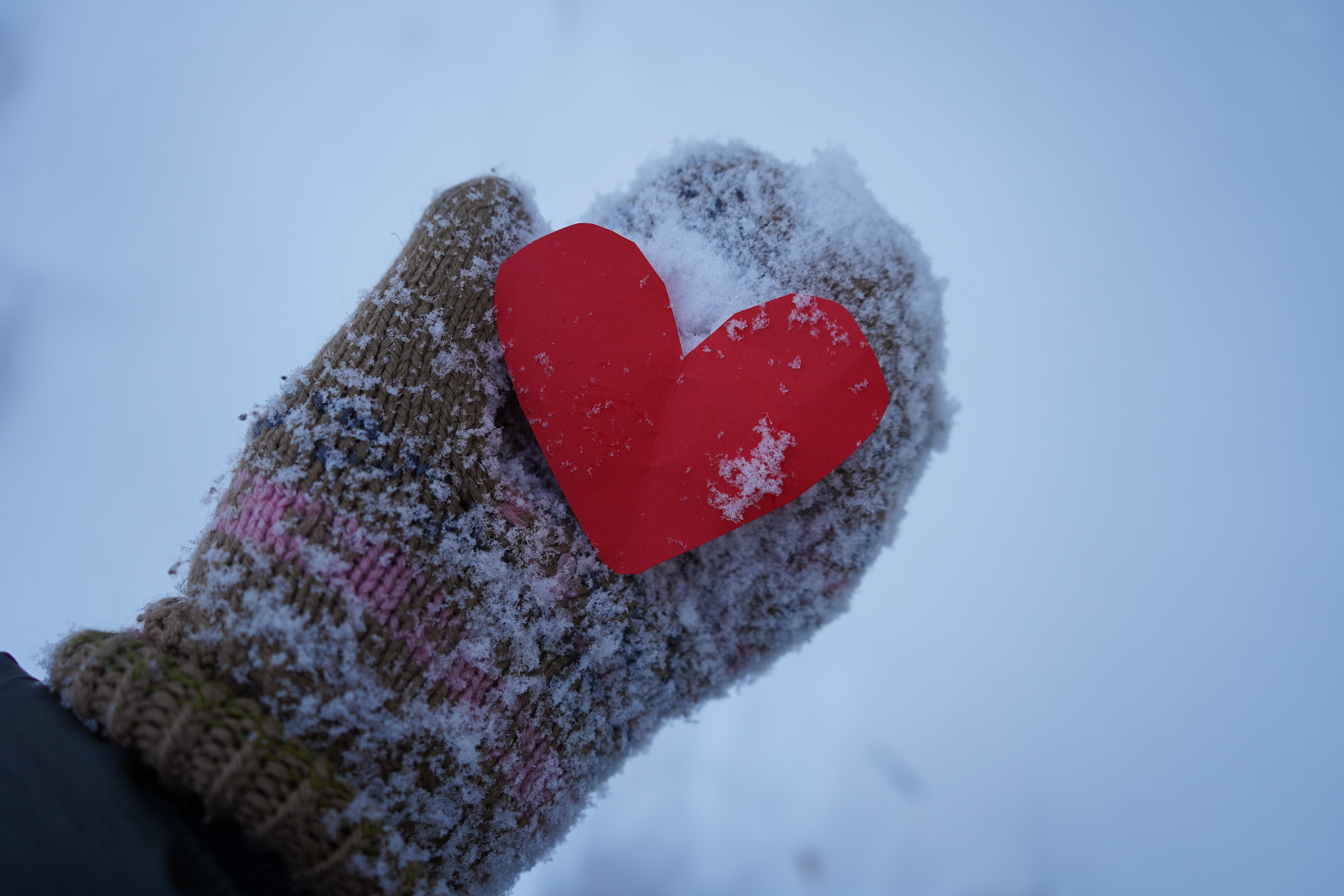 Mitten Tree Decorating | Evergreen