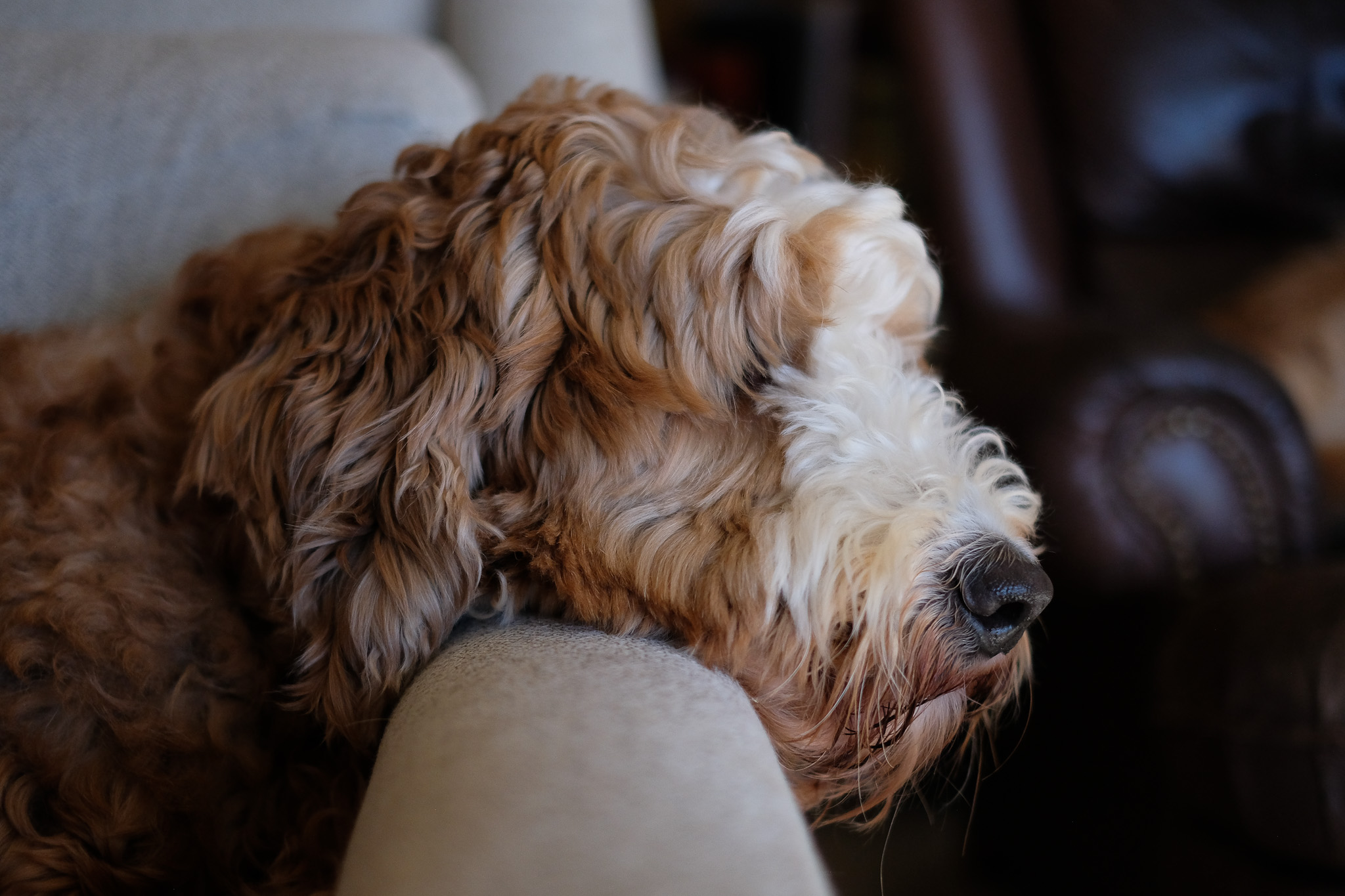 Finding Freedom from Shame: Embracing Jesus' Grace