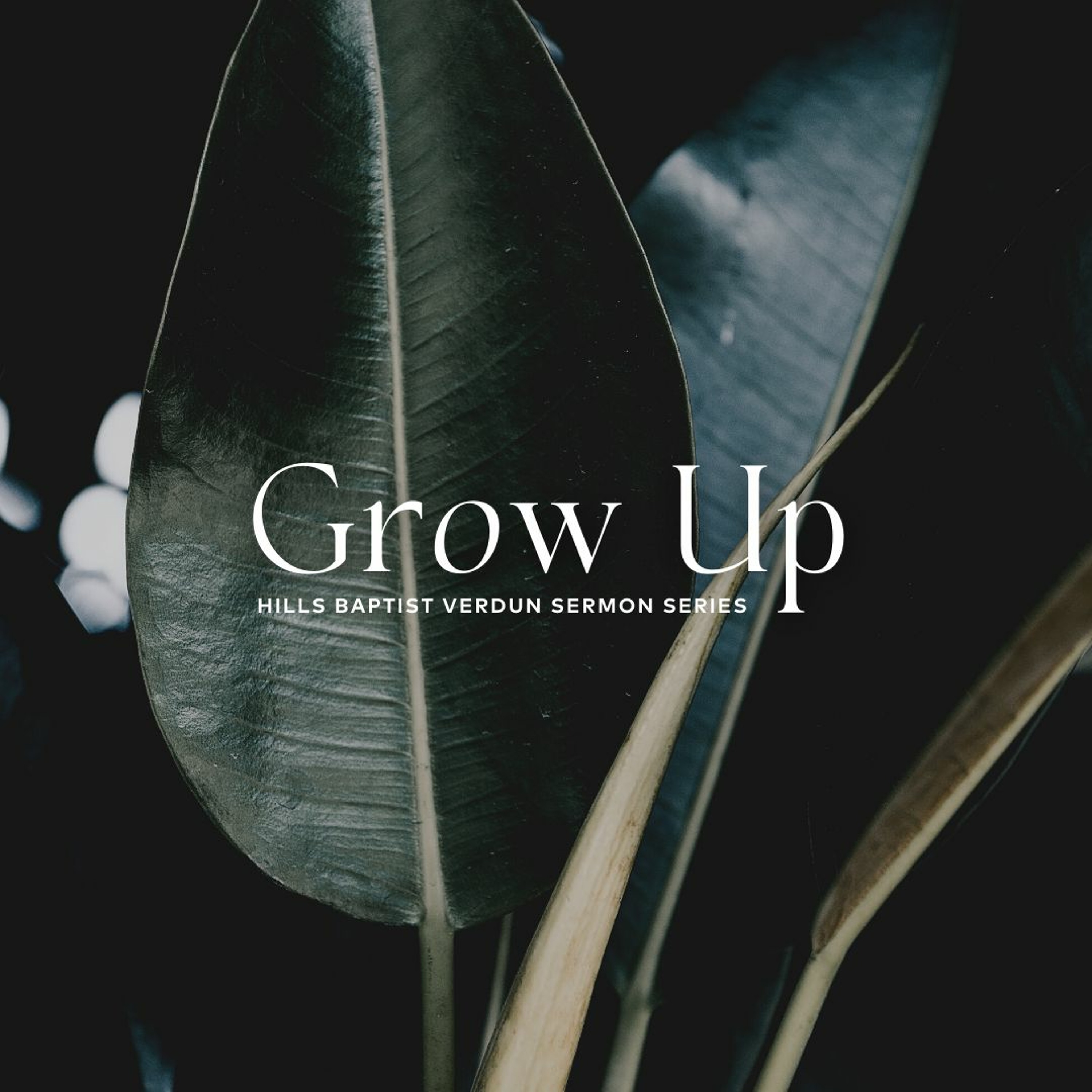 Grow Up – Dave Shepherd | Hills Baptist Church